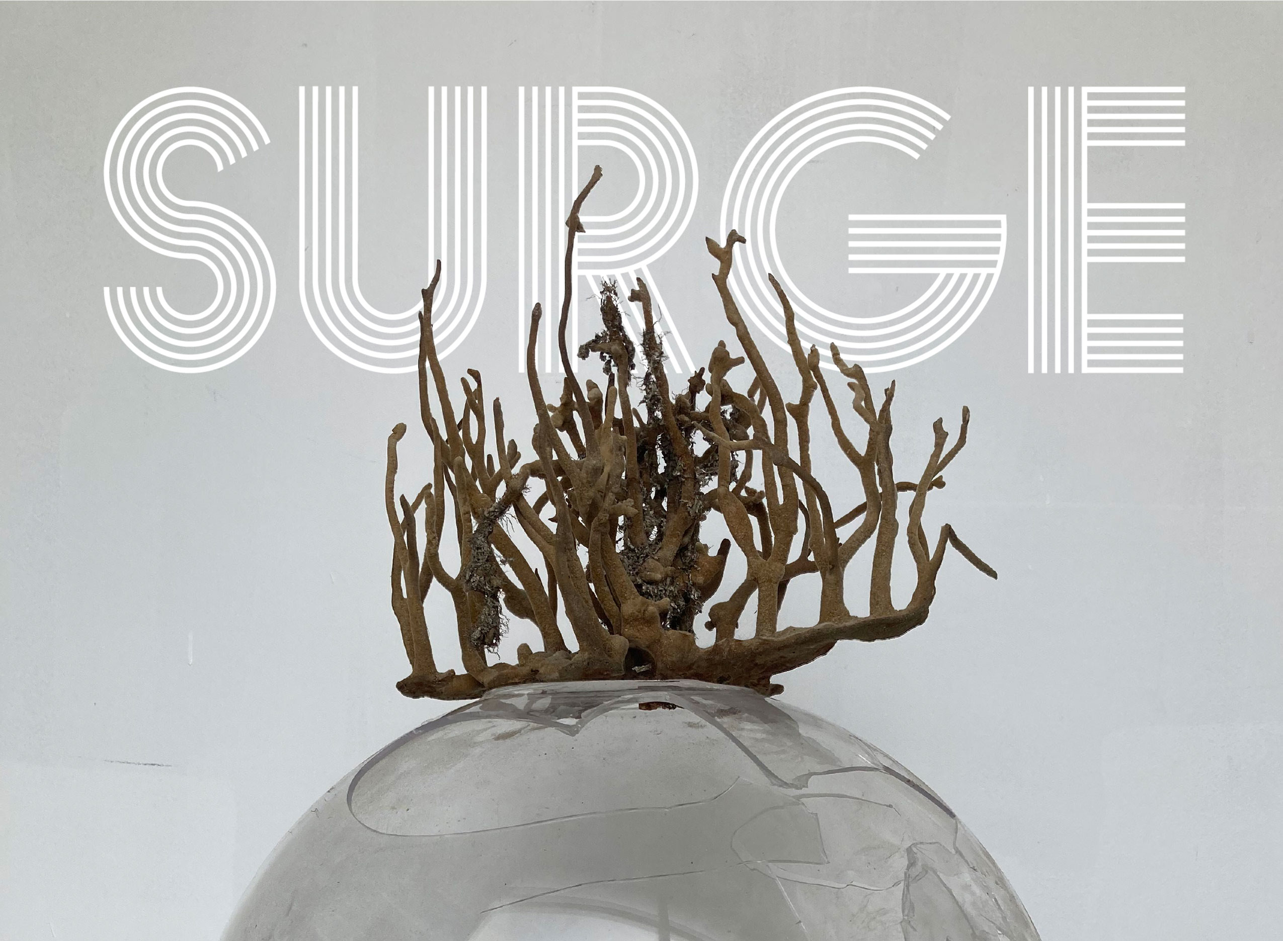 Surge magazine energizes activists, artists - Charleston City Paper