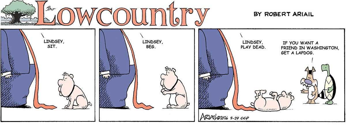 Ariail: Get a lapdog - Charleston City Paper